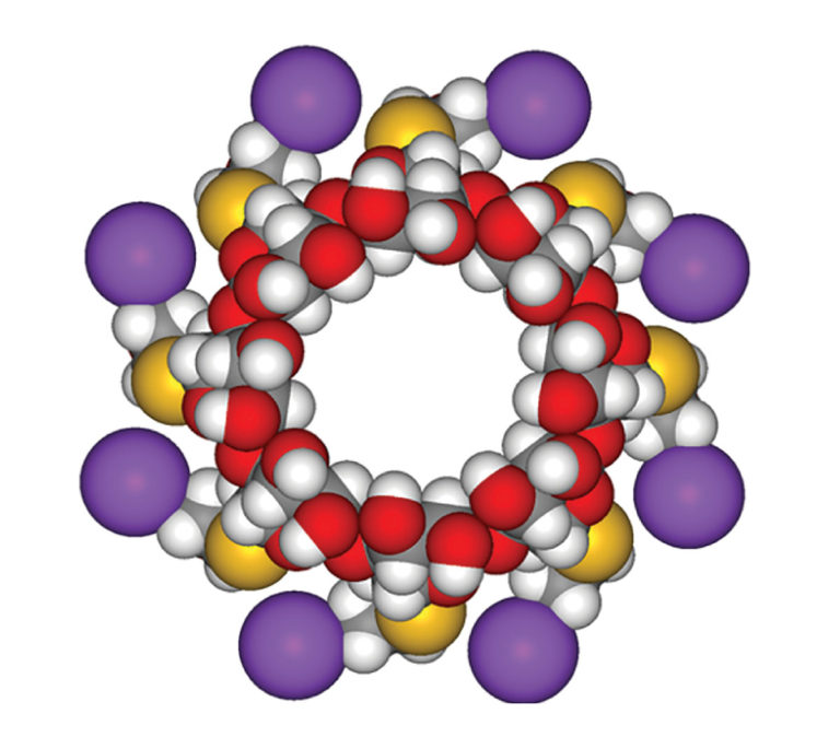 Current Status of Sugammadex Usage and the Occurrence of Sugammadex ...