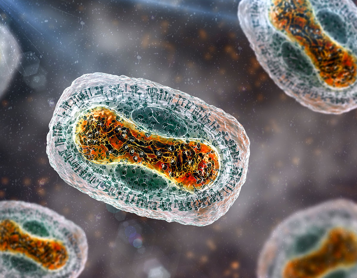 Perioperative Considerations for Patients with Mpox (Monkeypox ...