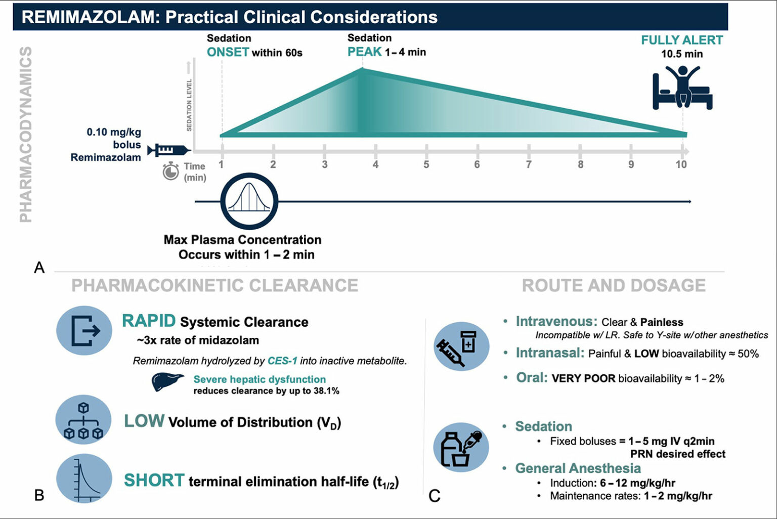 Remimazolam: Patient Safety Considerations of a Novel, Practice ...