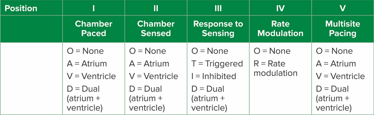 Keeping Pace: 2023 Update on the Perioperative Management of ...