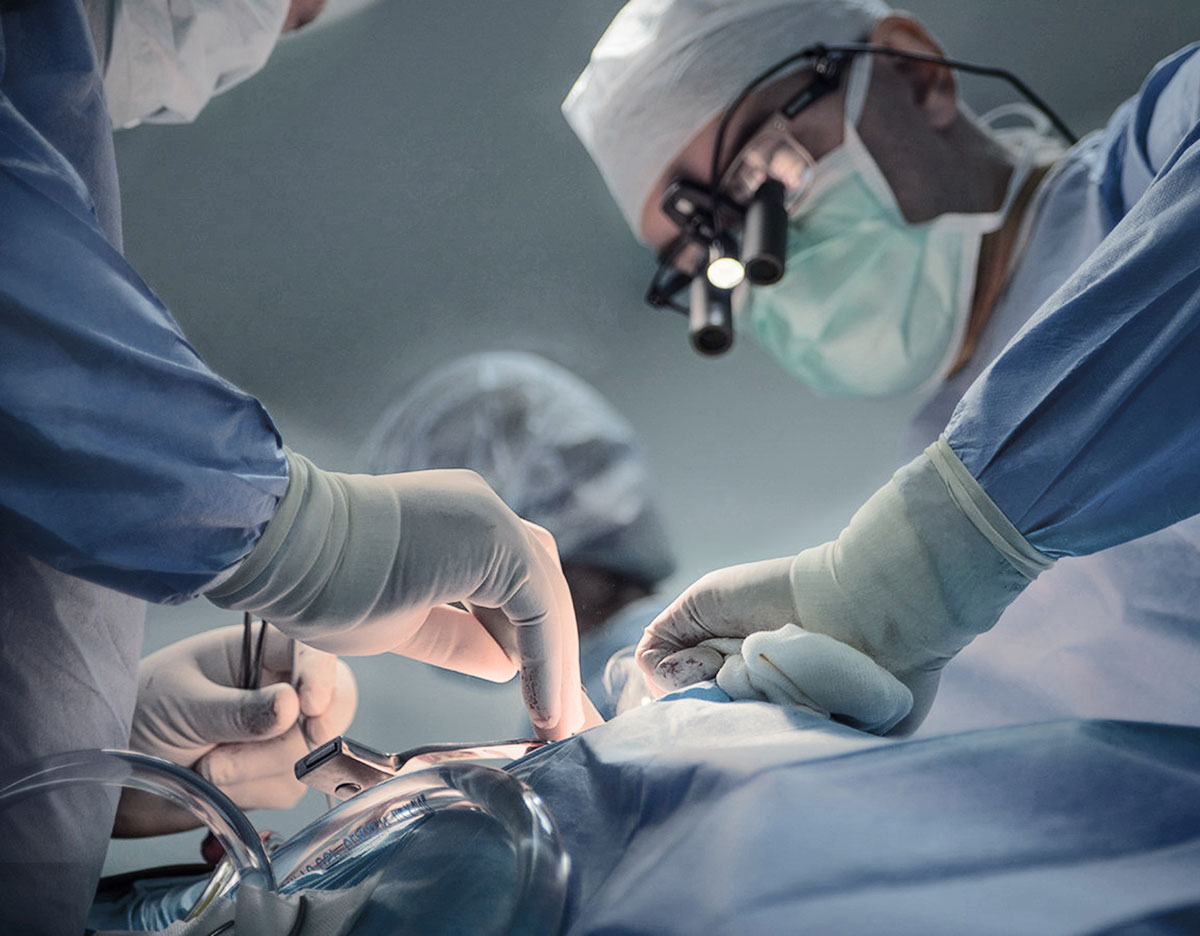 New Drug-Eluting Cardiac Stents and Dual Antiplatelet Therapy: How Short is Too Short ...